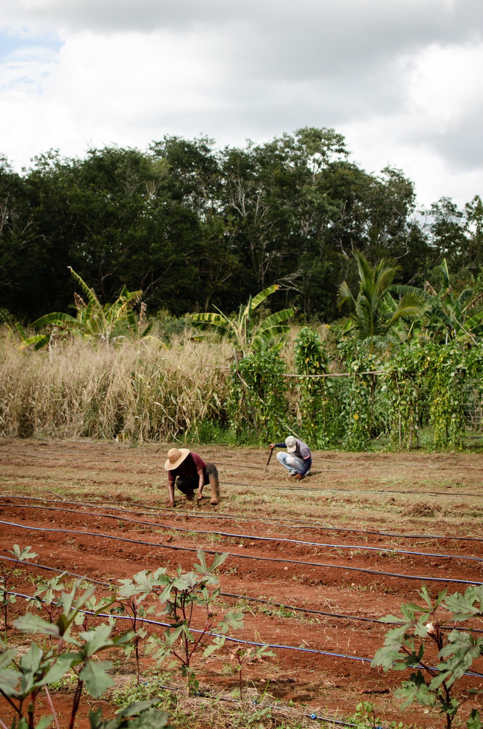 MESTIZA DE INDIAS – Namron Hospitality